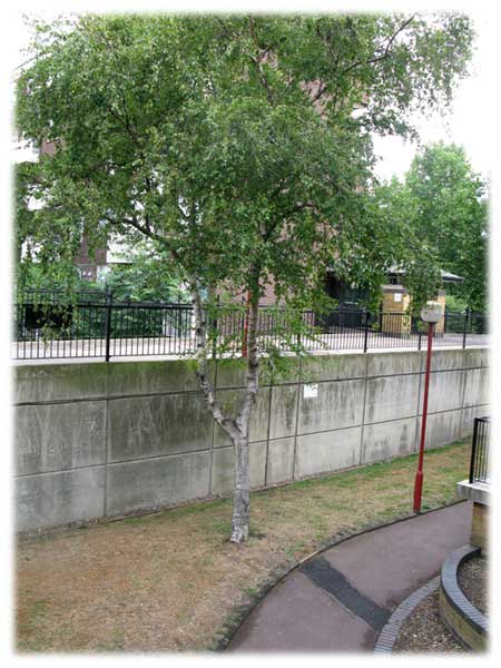 Regency and Victorian Architecture in Islington